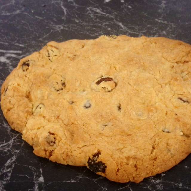 Sultana Malt Buscuit - Pastries & Cookies - New Zealand